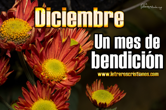 Diciembre mes de bendición – Letreros Cristianos.com :: Imagenes ... Diciembre mes de bendición – Letreros Cristianos.com :: Imagenes ...